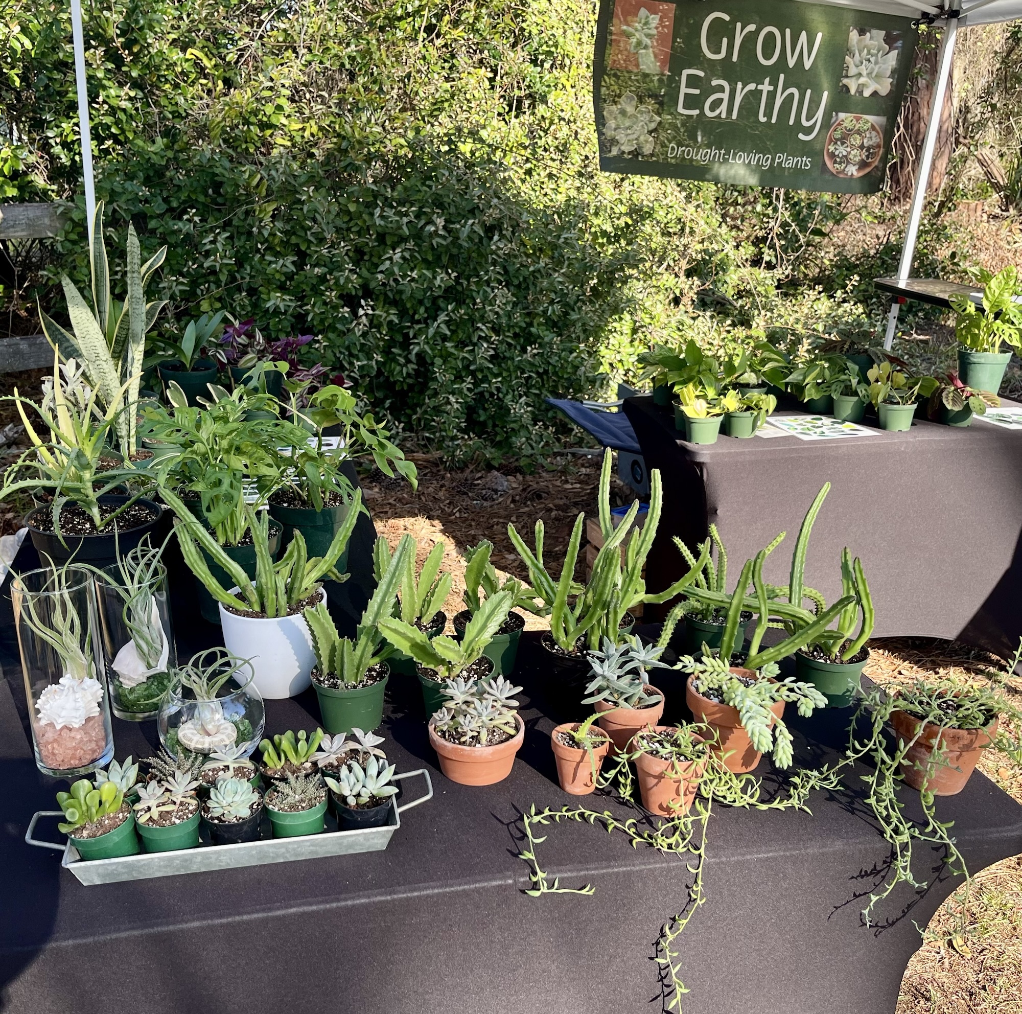 Beaches Farmers Markets – Grow Earthy