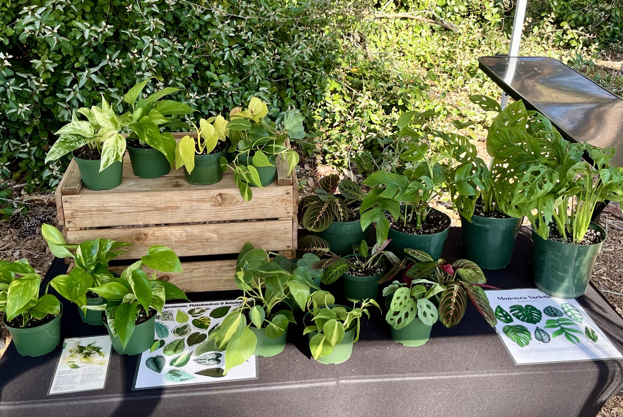 Beaches Farmers Markets – Grow Earthy